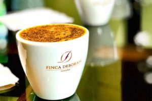 Finca Deborah - Boutique Geisha Coffee from Panama